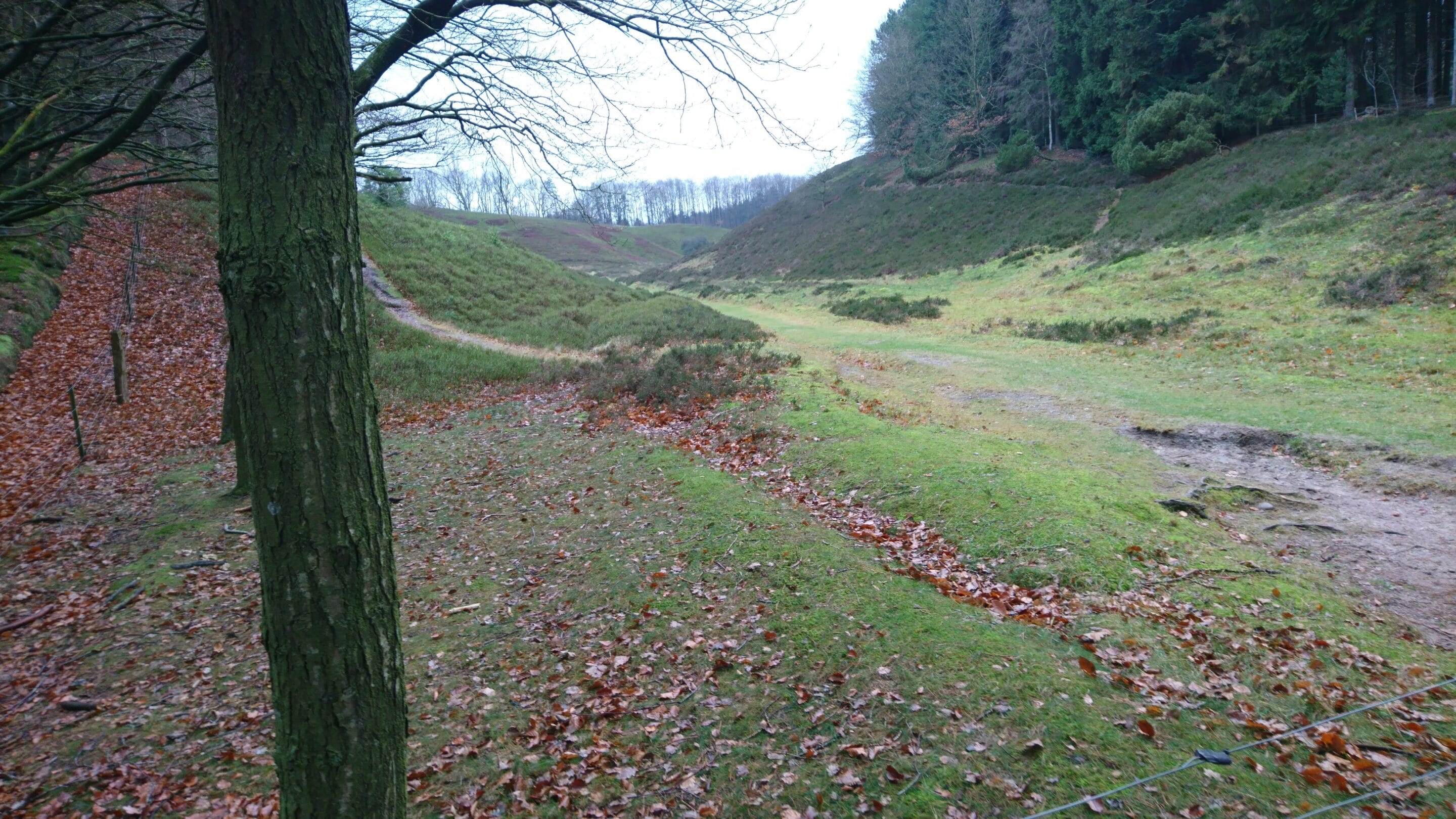 Naturen er populær • Her på Øen