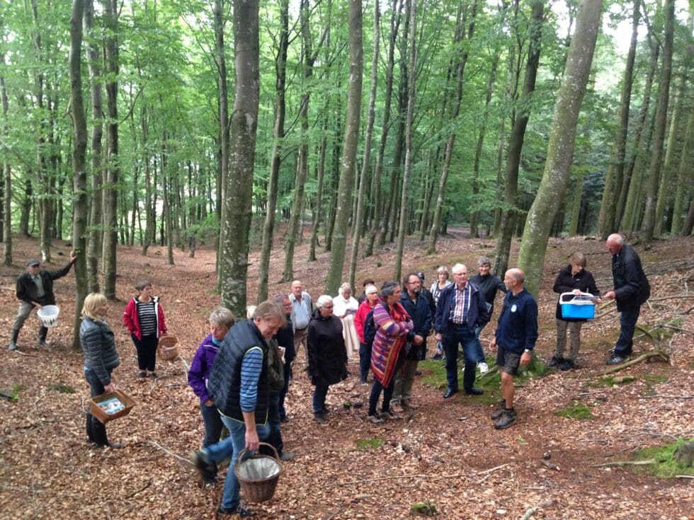 Svampe- og urteture i Legind Bjerge • Her på Øen