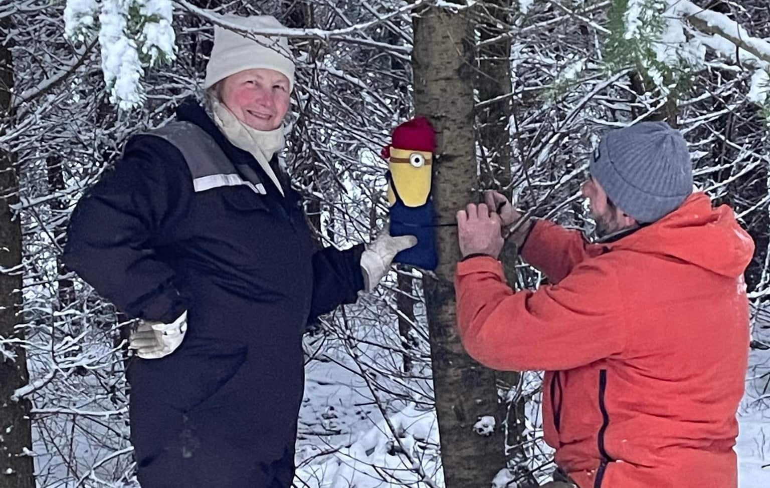 Nissesti i Legind Bjerge • Her på Øen