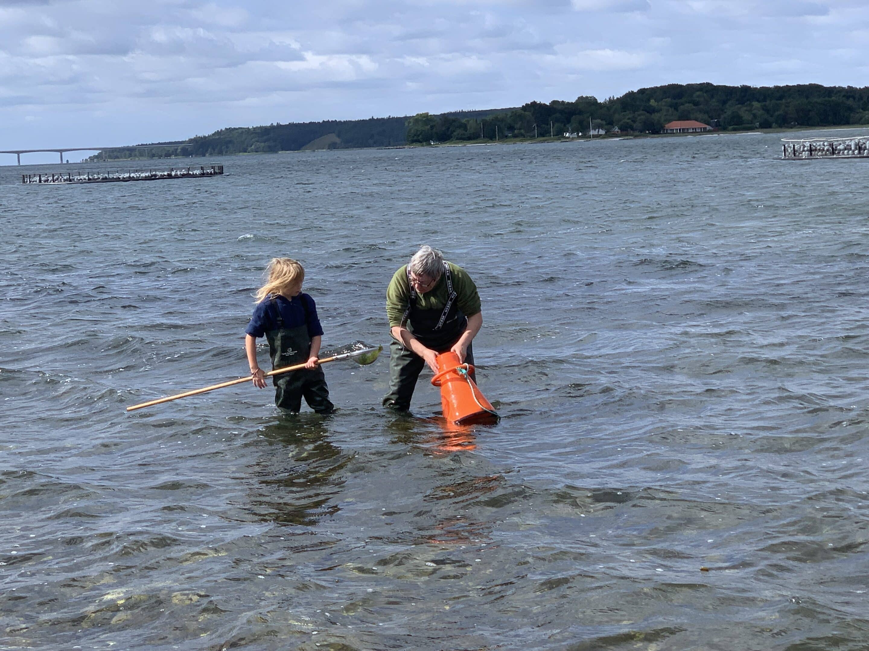 Sommeroplevelser til fjords • Her på Øen